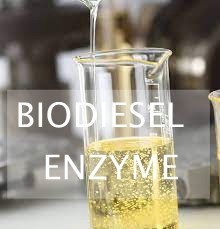 Lipaz Kullanarak Biyoyakıt Üretimi İçin Atık Lipitlerin Enzimatik Hidrolizi